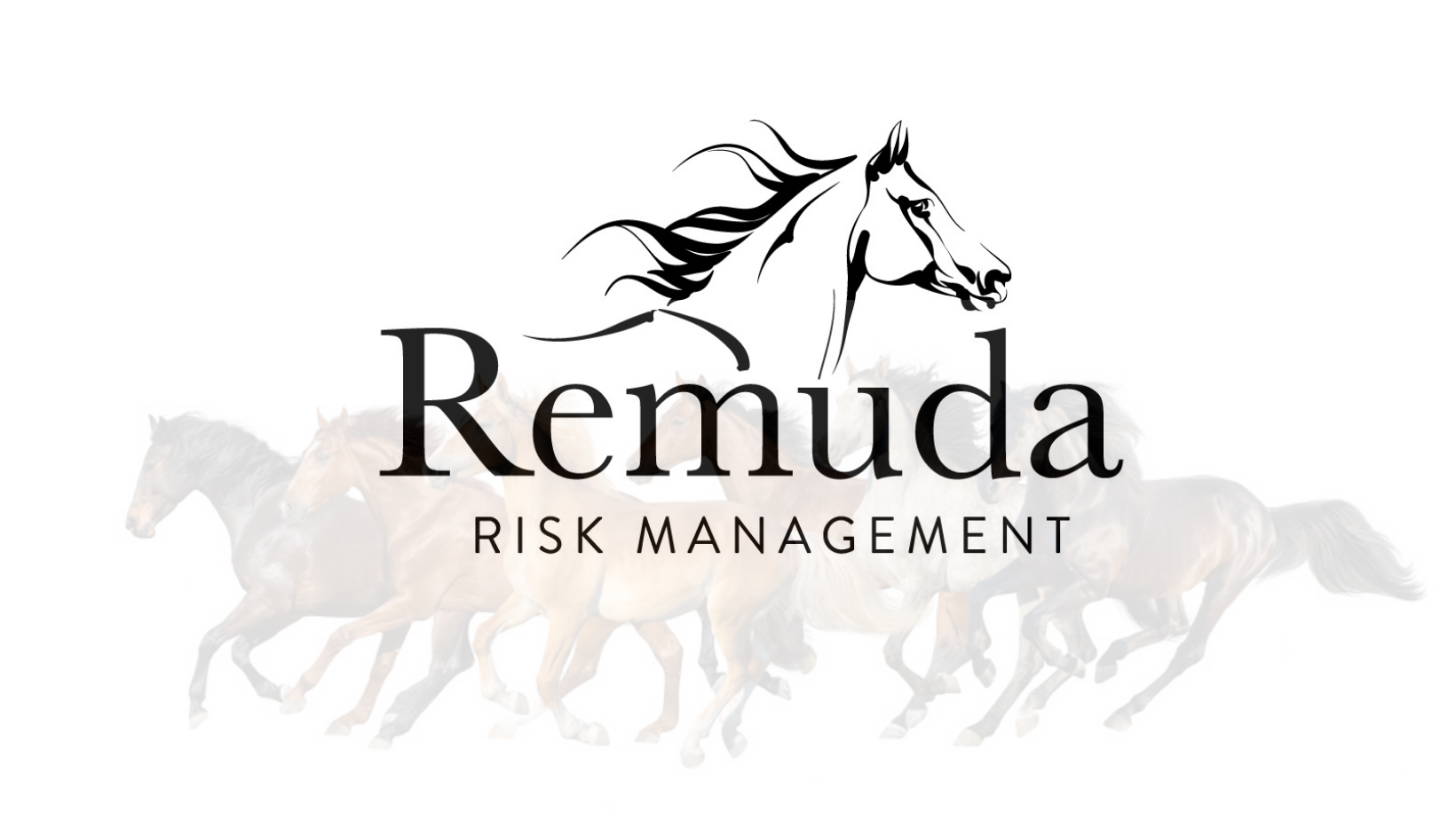 Remuda Risk Management